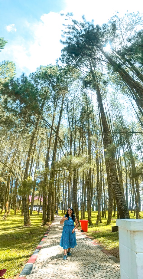 Geosite Sipinsur: Spot Kece buat Menikmati Keindahan Danau Toba – Ceritaeka